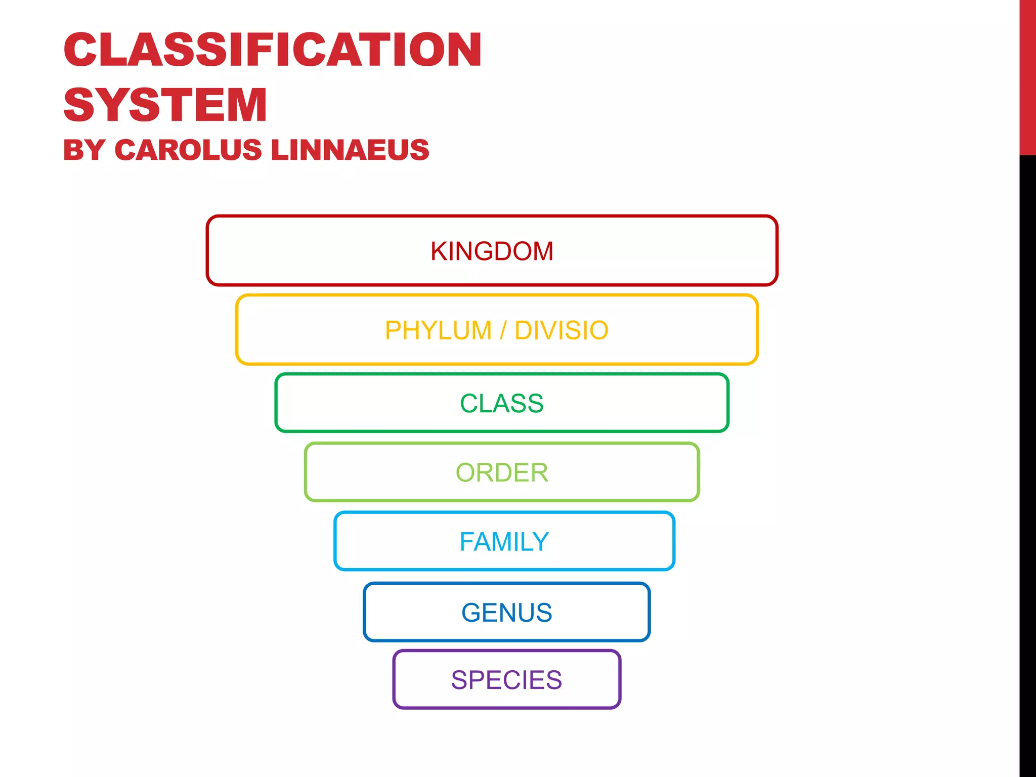 Classification of Living Things.pptx