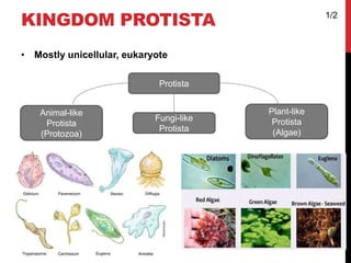 Classification of Living Things.pptx | Gardening | Home & Garden