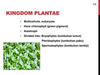 Classification of Living Things.pptx | Gardening | Home & Garden