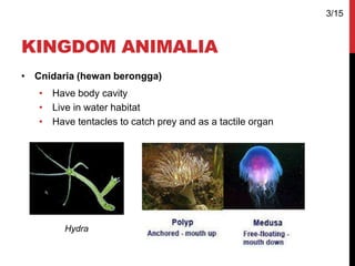 Classification of Living Things.pptx | Gardening | Home & Garden