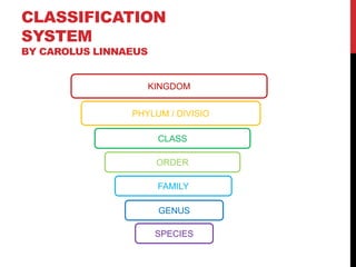 Classification of Living Things.pptx | Gardening | Home & Garden