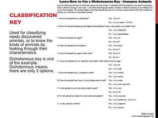 Classification of Living Things.pptx