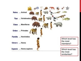 Classification of Living Things.pptx | Gardening | Home & Garden