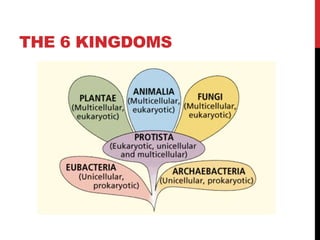 Classification of Living Things.pptx | Gardening | Home & Garden