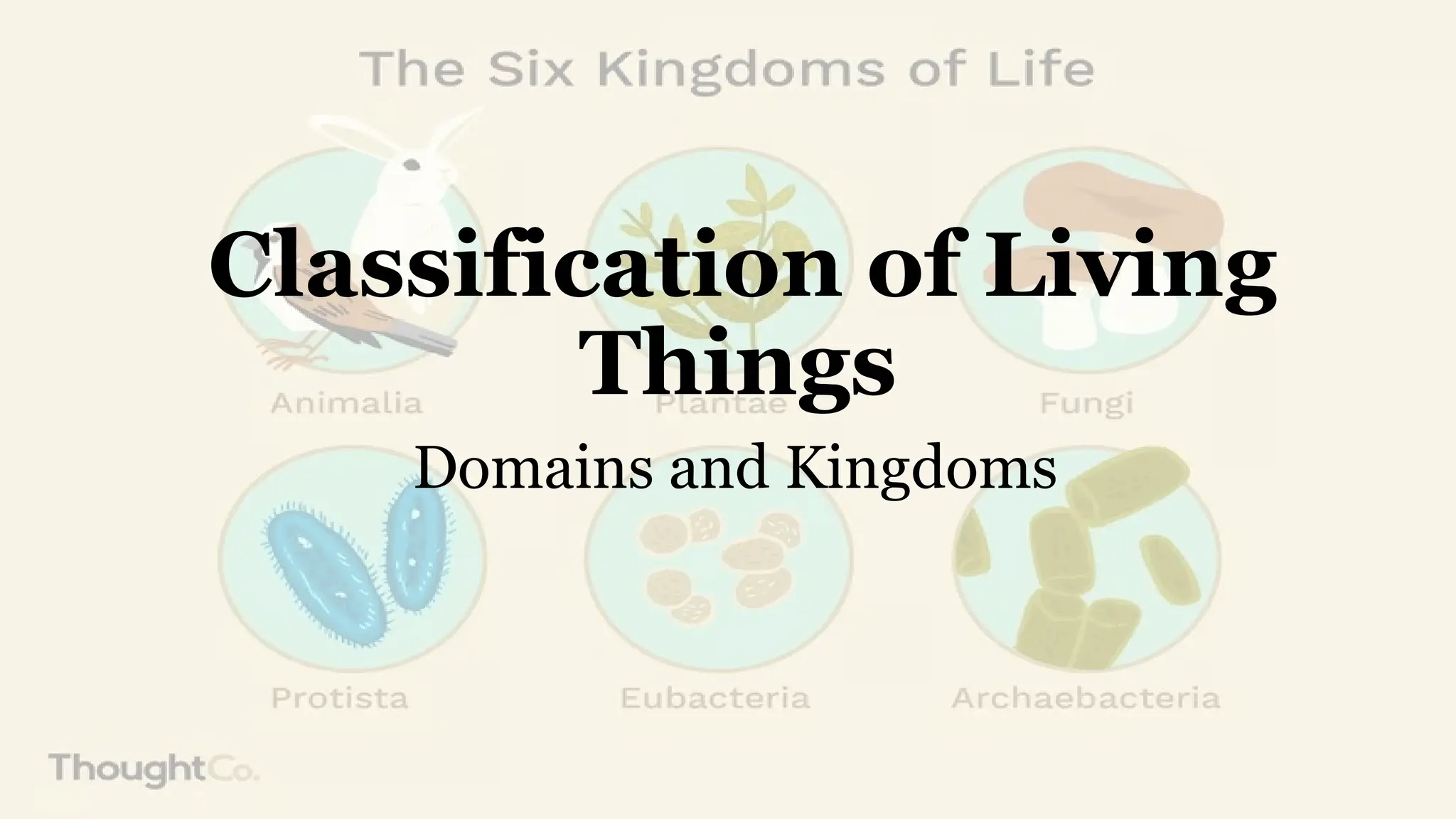 Classification of Living Things.pptxXXXX | PPTX
