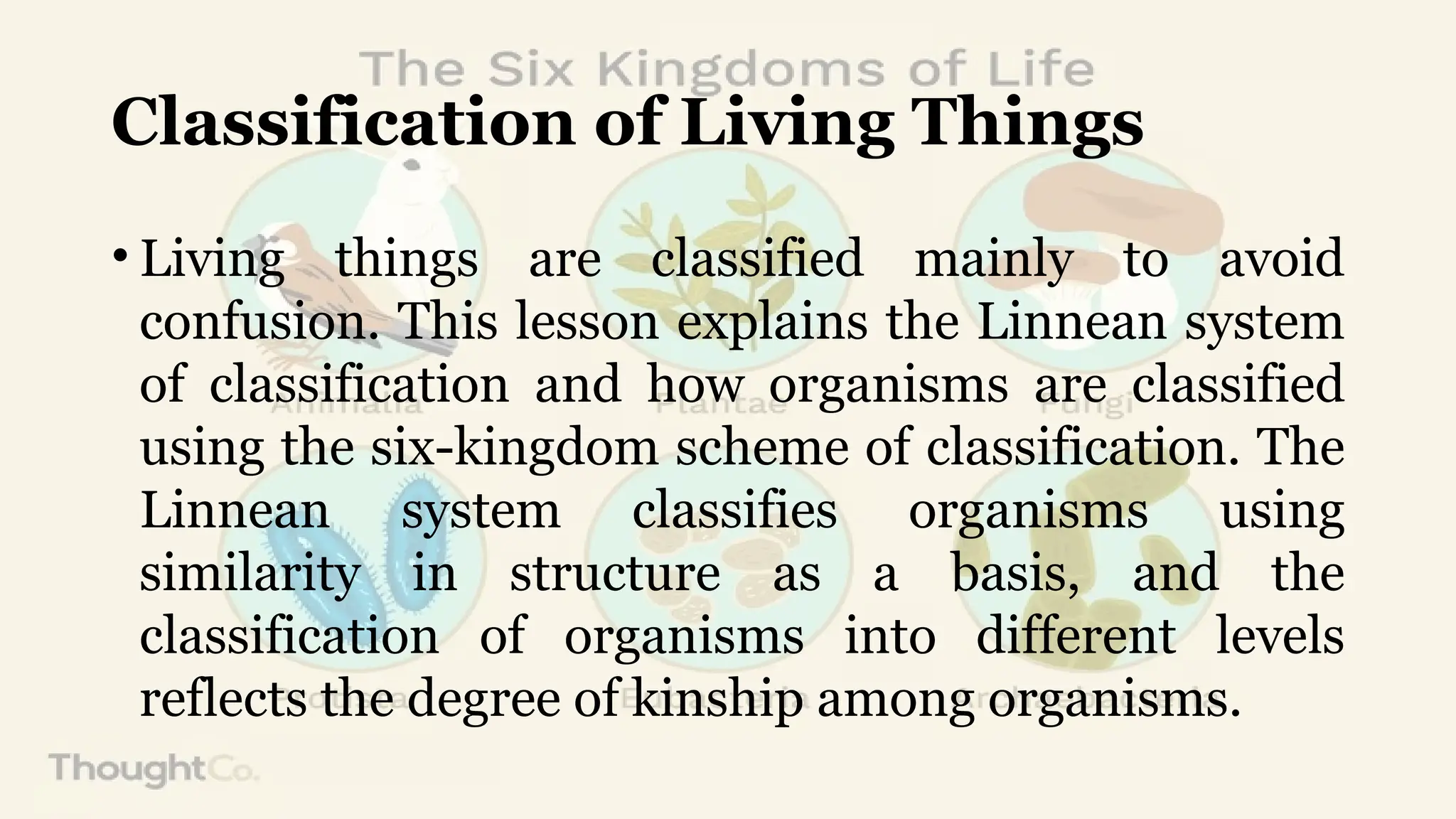 Classification of Living Things.pptxXXXX | PPTX