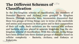 Classification of Living Things.pptxXXXX | PPTX