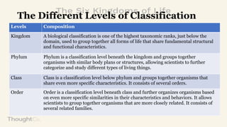 Classification of Living Things.pptxXXXX | PPTX