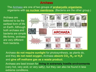 Classification of Living Things: Taxonomy | PPT