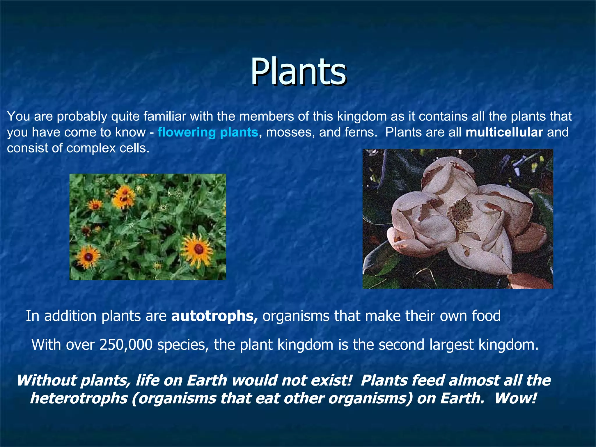 Classification of living_things(2) | PPT