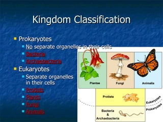 Classification of living_things(2) | PPT