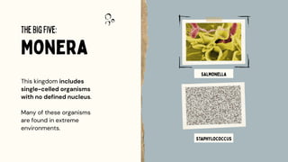 Classification of Living Things Education Presentation in Collage Neat ...