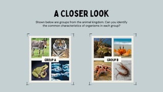 Classification of Living Things Education Presentation in Collage Neat ...