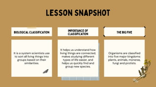 Classification of Living Things Education Presentation in Collage Neat ...