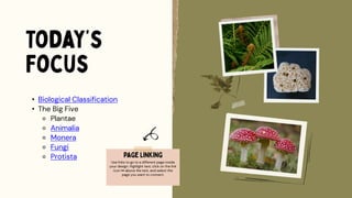 Classification of Living Things Education Presentation in Collage Neat ...