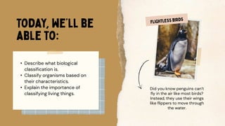 Classification of Living Things Education Presentation in Collage Neat ...