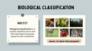 Classification of Living Things Education Presentation in Collage Neat ...