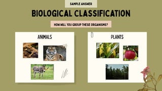 Classification of Living Things Education Presentation in Collage Neat ...