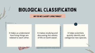 Classification of Living Things Education Presentation in Collage Neat ...