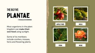 Classification of Living Things Education Presentation in Collage Neat ...