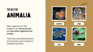 Classification of Living Things Education Presentation in Collage Neat ...