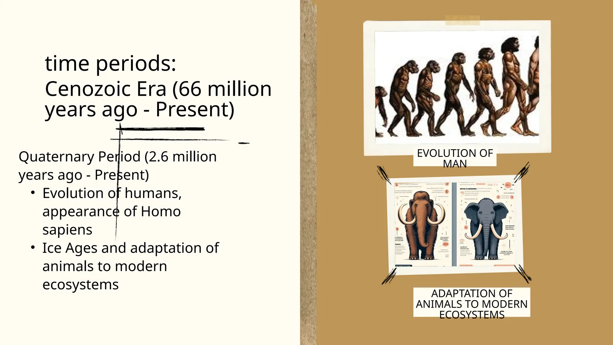 Classification of Living Things Education (Evolution Of Animals) | PPT