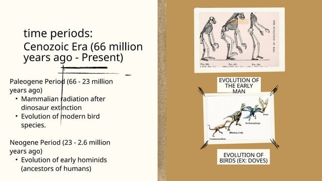 Classification of Living Things Education (Evolution Of Animals) | PPT