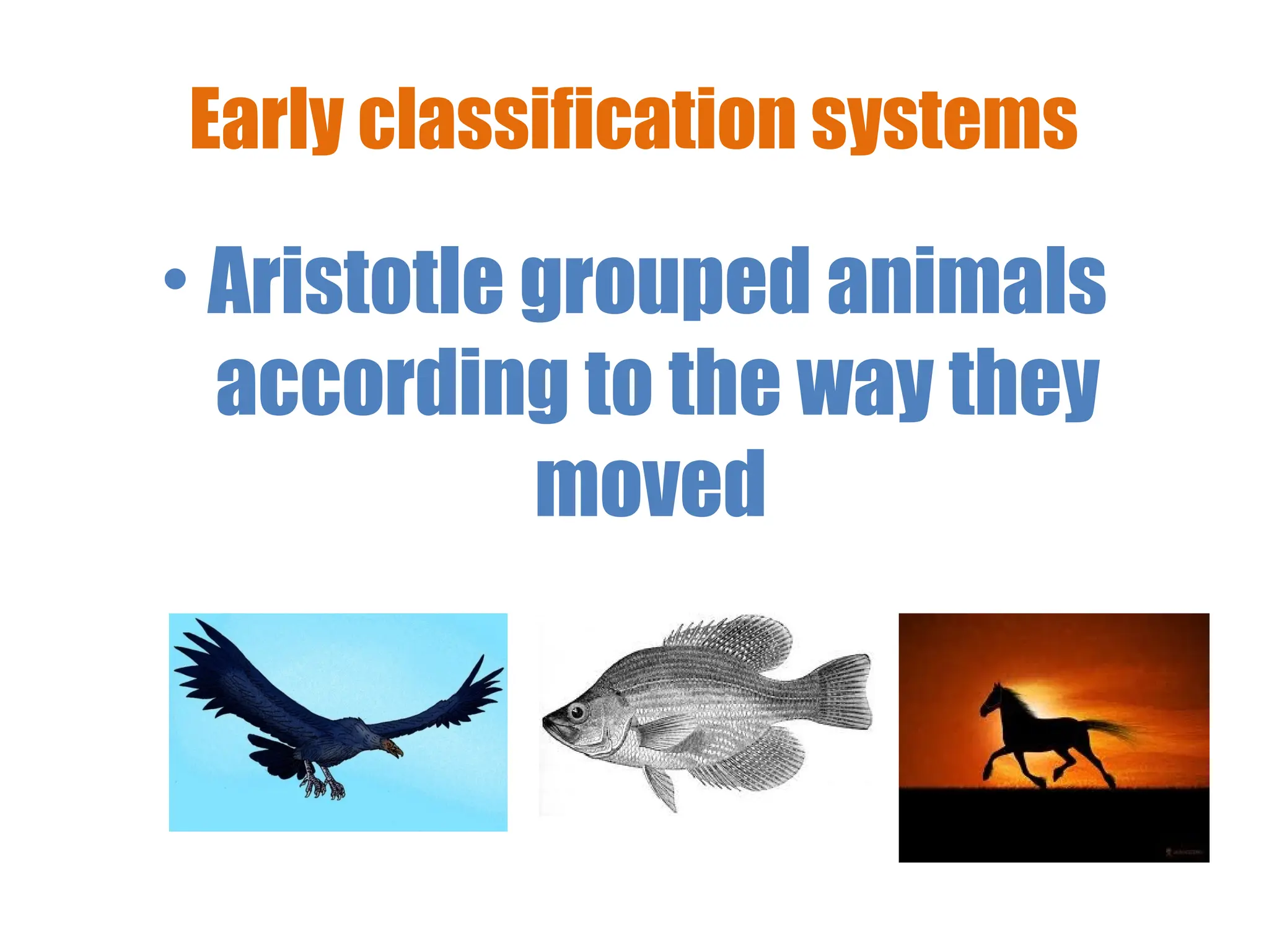 Classification of Living Things PPT.pptx
