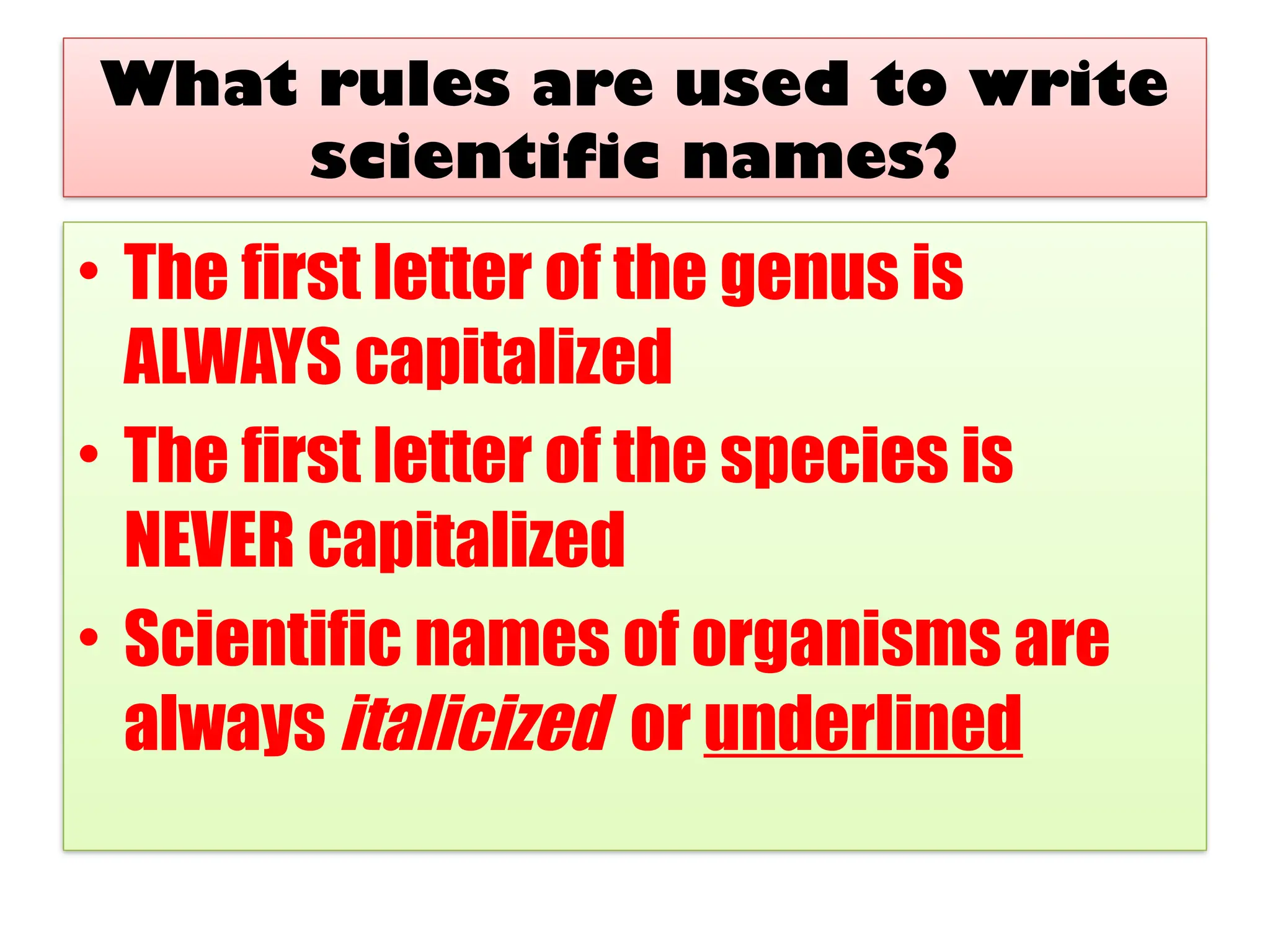 Classification of Living Things PPT.pptx