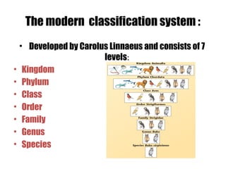 Classification of Living Things PPT.pptx