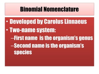 Classification of Living Things PPT.pptx
