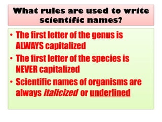 Classification of Living Things PPT.pptx
