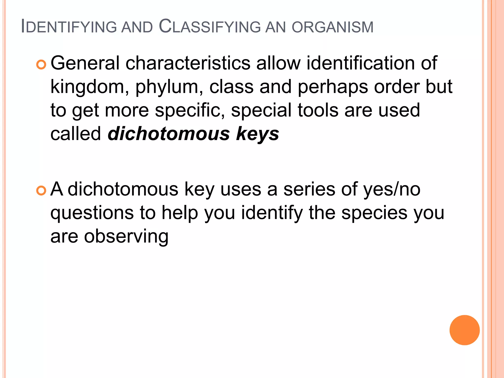 Classification of living things r1 | PPTX | Biological Sciences | Science