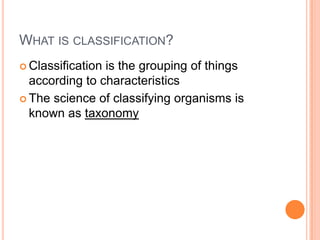 Classification of living things r1 | PPTX | Biological Sciences | Science