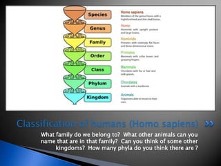 Classification of living things sample | PPTX | Biological Sciences ...