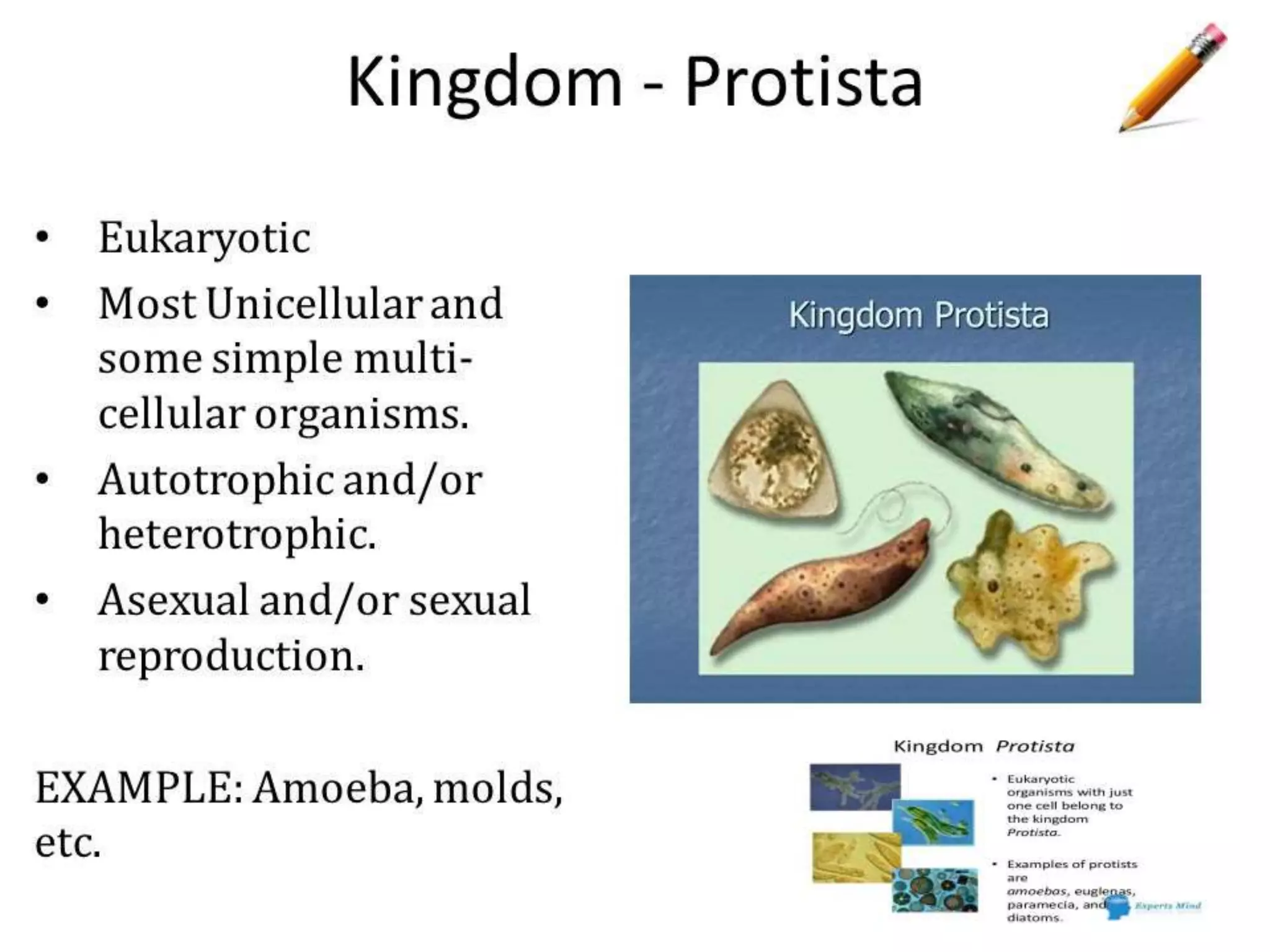Classification of living world.ppsx