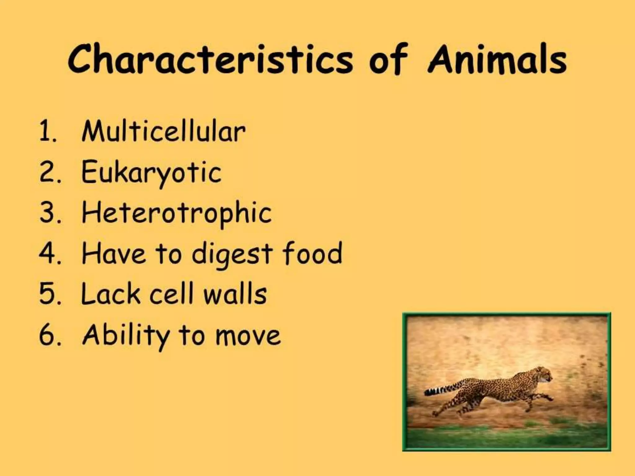 Classification of living world.ppsx
