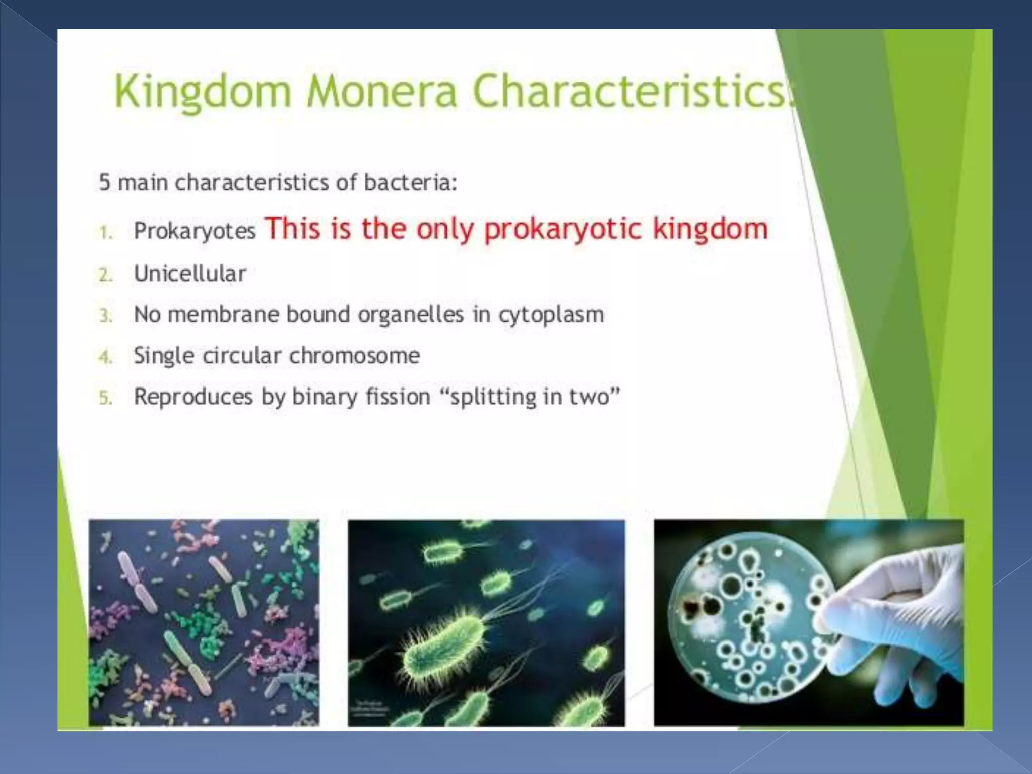 Classification of living world.ppsx