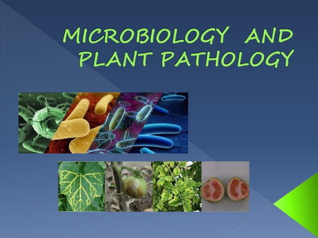 Classification of living world.ppsx