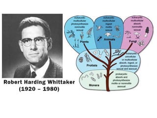 Classification of living world.ppsx