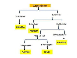 Classification of living world.ppsx