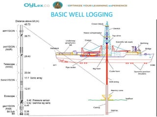 Classification of logs | PPTX