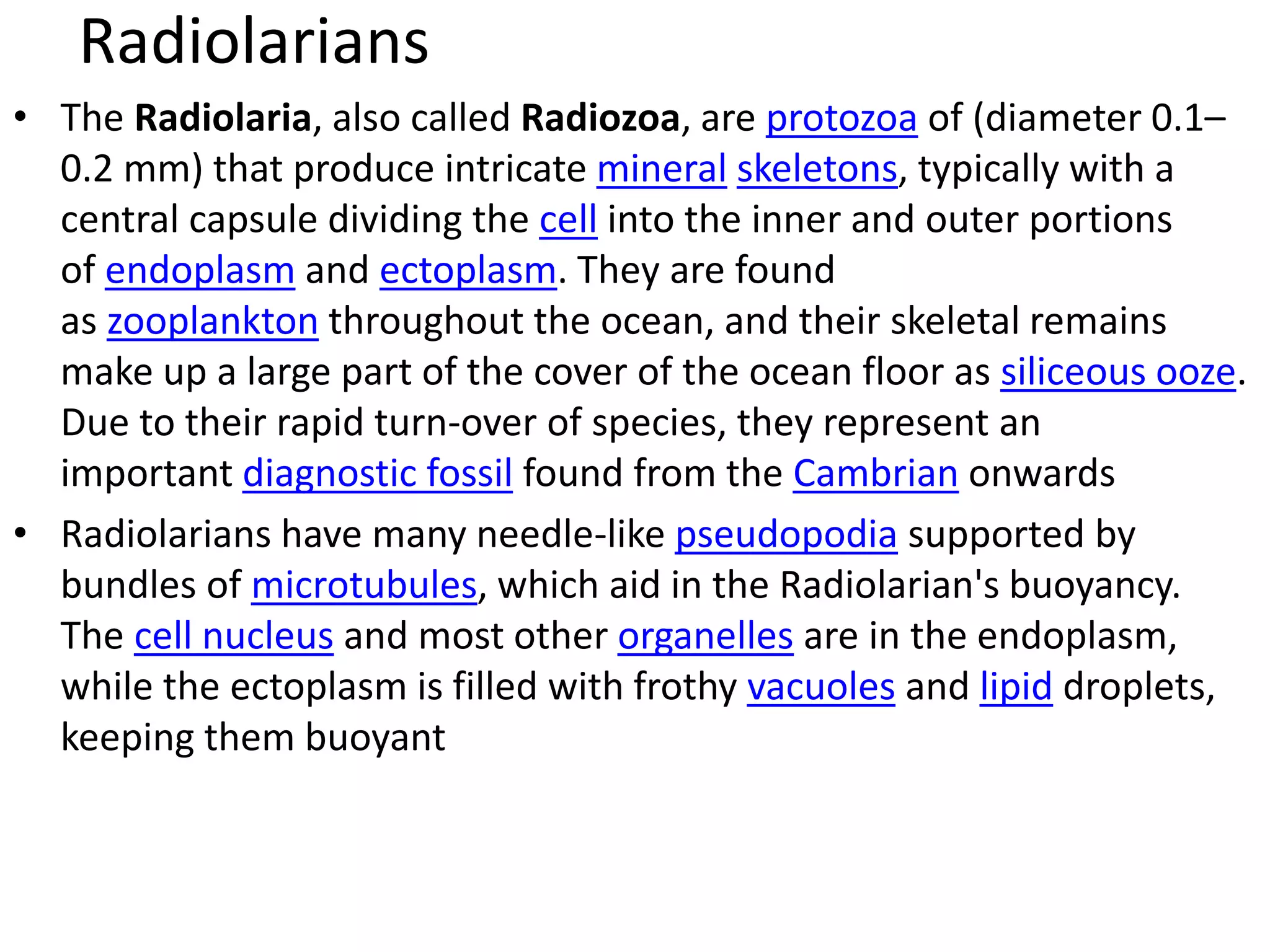 Classification of micro fossil theory | PPTX