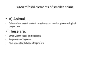 Classification of micro fossil theory | PPTX