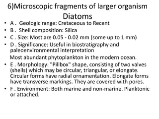 Classification of micro fossil theory | PPTX