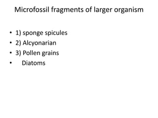Classification of micro fossil theory | PPTX