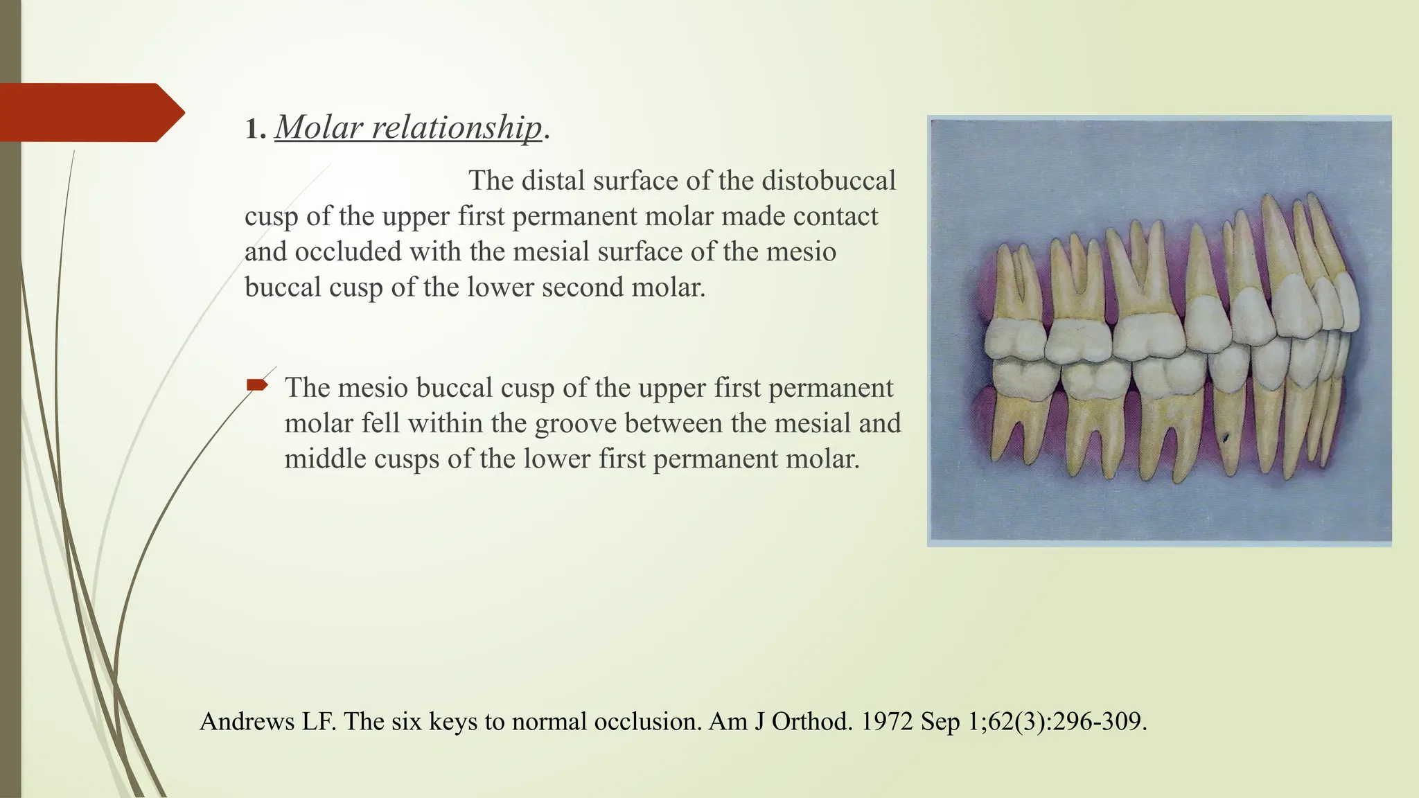 CLASSIFICATION OF MALOCCLUSION in orthodontics | PPTX