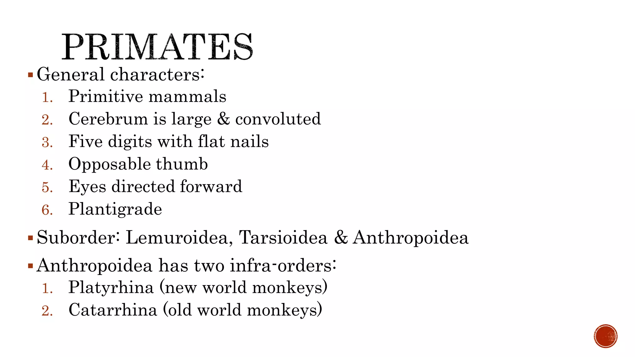 Classification of mammals, M. Sc, Zoology, University of Mumbai. | PPTX