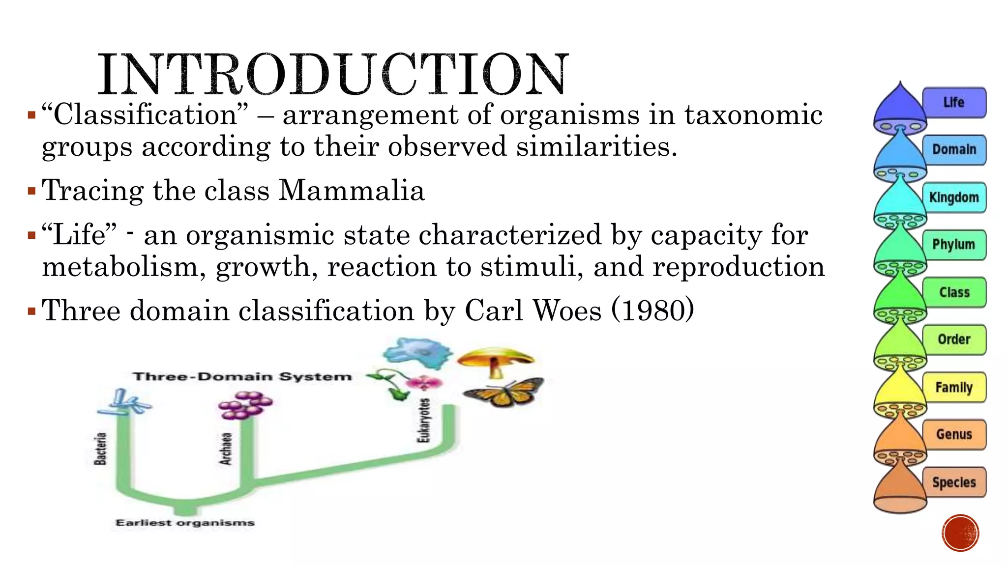 Classification of mammals, M. Sc, Zoology, University of Mumbai. | PPTX