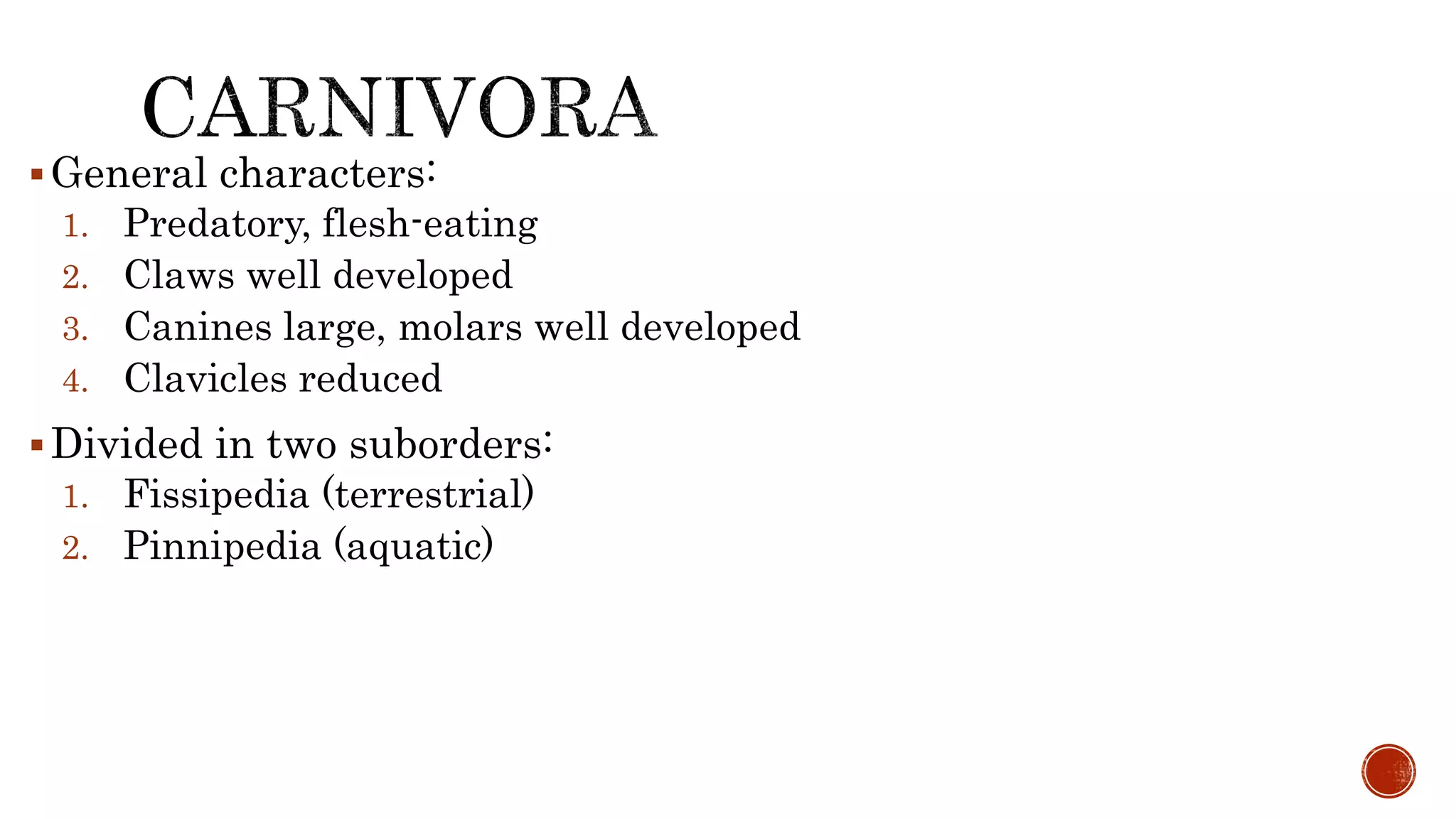 Classification of mammals, M. Sc, Zoology, University of Mumbai. | PPTX